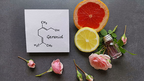 The Science of Scent: What is EDP & Which Perfume is Long-Lasting ...
